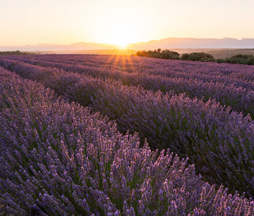 OUR HISTORY – Rancé